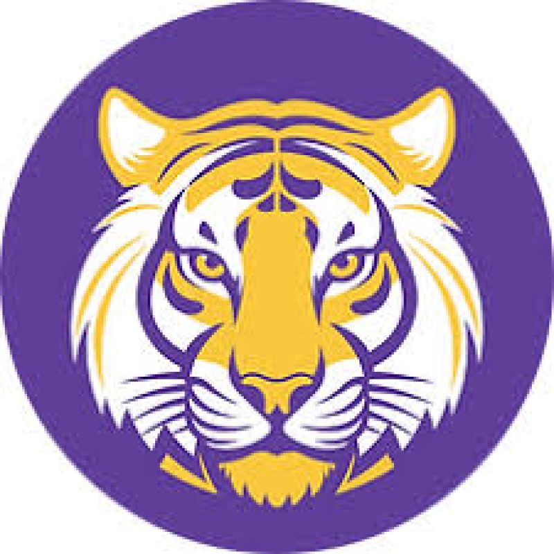 Lisa Bruce | DCPS Provider Directory - School Mental Health